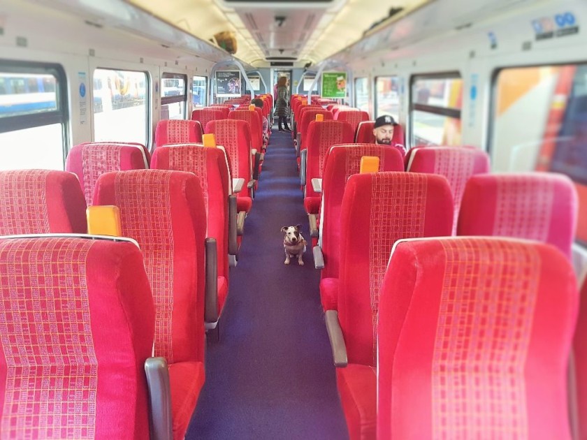 South Western Railway Express Sprinter (UK) | ShowMeTheJourney