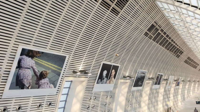 How to use Avignon TGV train station | ShowMeTheJourney