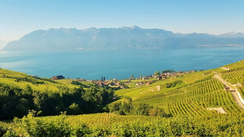 Basel / Bâle to Geneva / Genève by train | ShowMeTheJourney